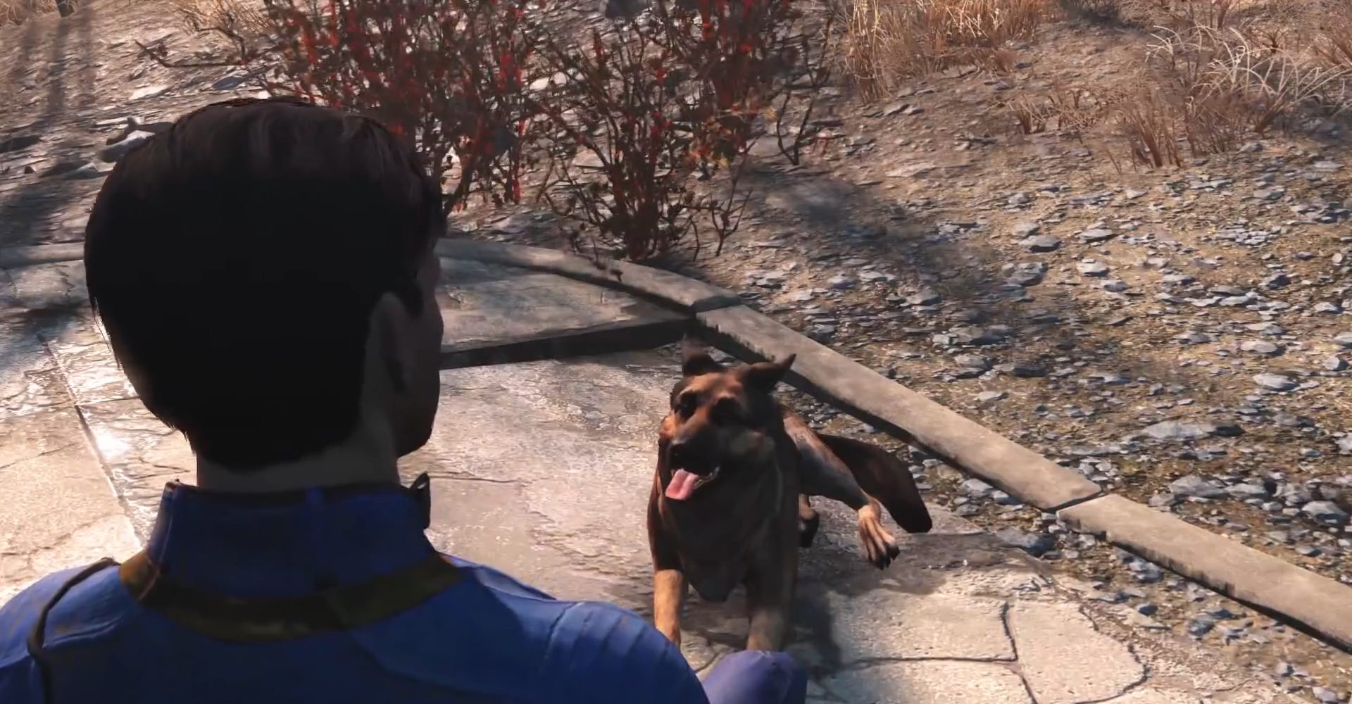 River, inspiration for ‘Fallout 4’ Dogmeat companion, passes away ...