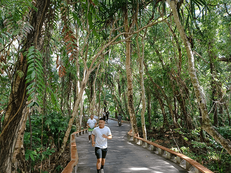 Sustainable sanctuaries: Ayala Land's regenerative tourism redefines ...