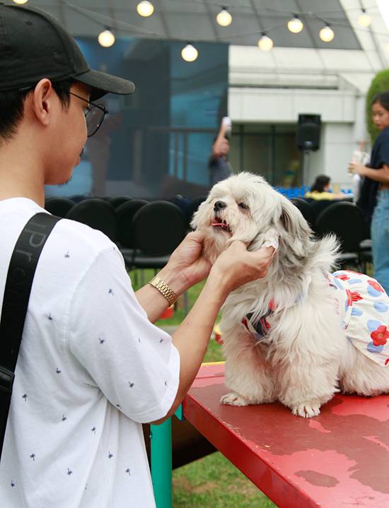 SM Super Pets Club throws epic 1st birthday bash at SM Aura Skypark ...