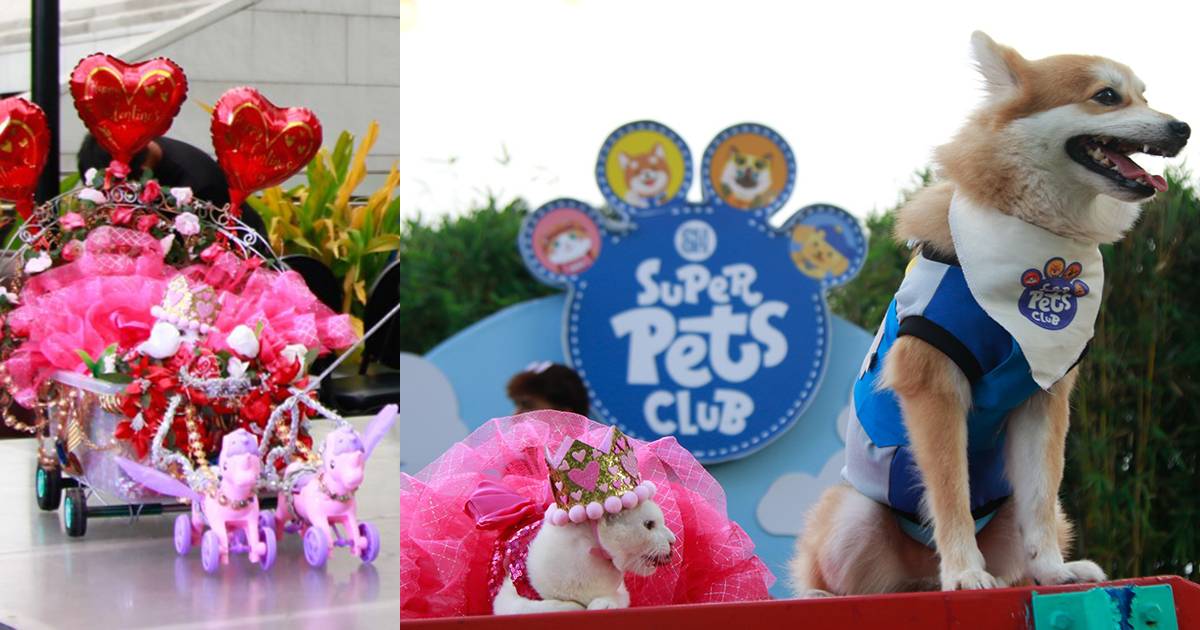 SM Super Pets Club throws epic 1st birthday bash at SM Aura Skypark ...