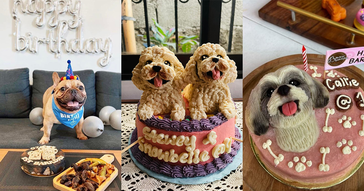 It's PAWty time: Pet-safe cakes, pasta, and other treats for your fur ...