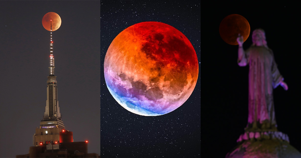 LOOK: Stunning photos of the blood moon that will leave you in awe ...