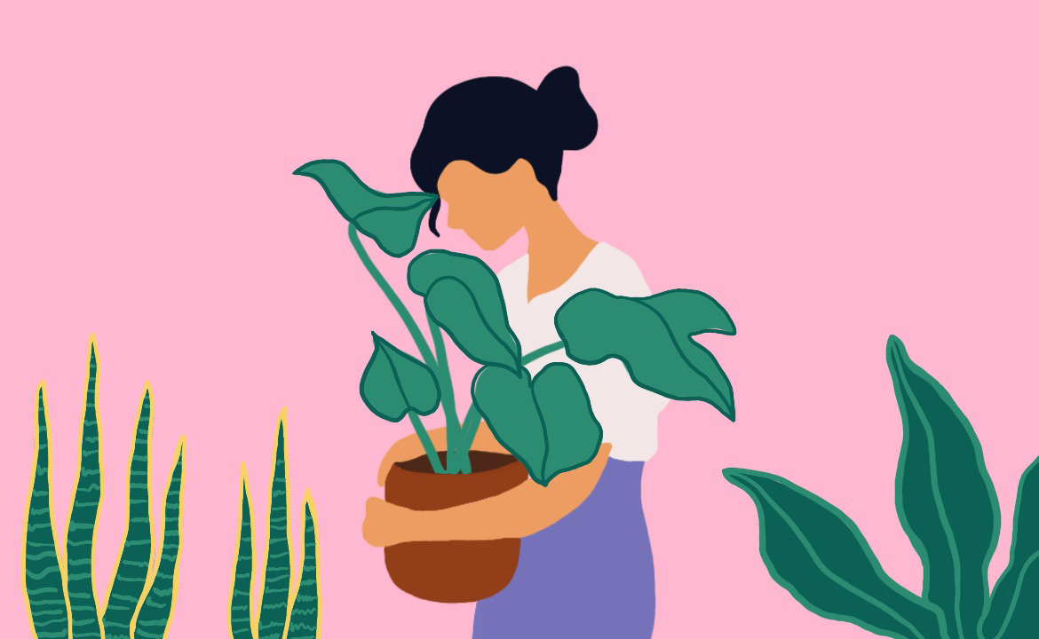 Plant parenthood: Where to start? We’ve got tips • PhilSTAR Life