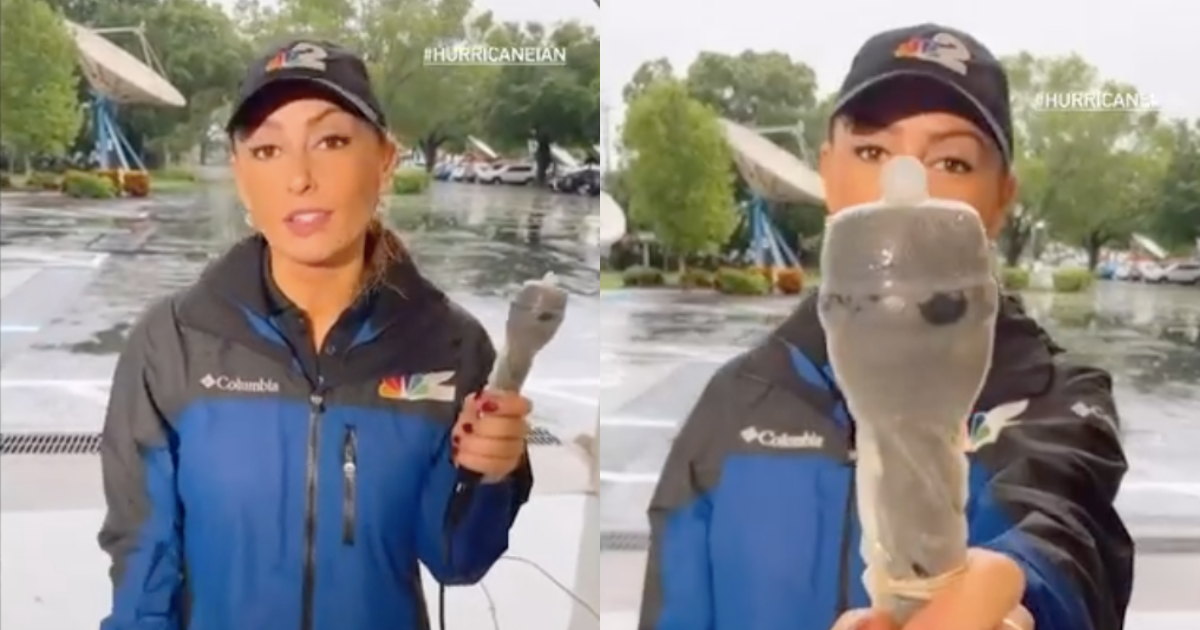 ‘Not just for banging’: TV reporter uses condom to cover mic during ...