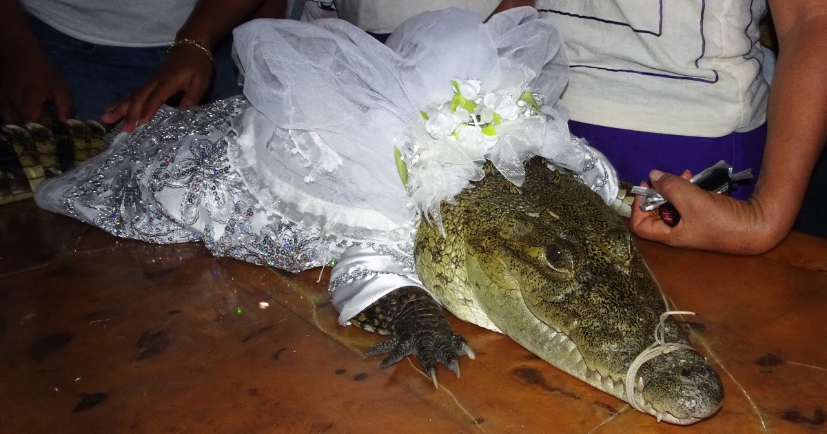 Mexican mayor marries a reptile—and he couldn't be happier • PhilSTAR Life