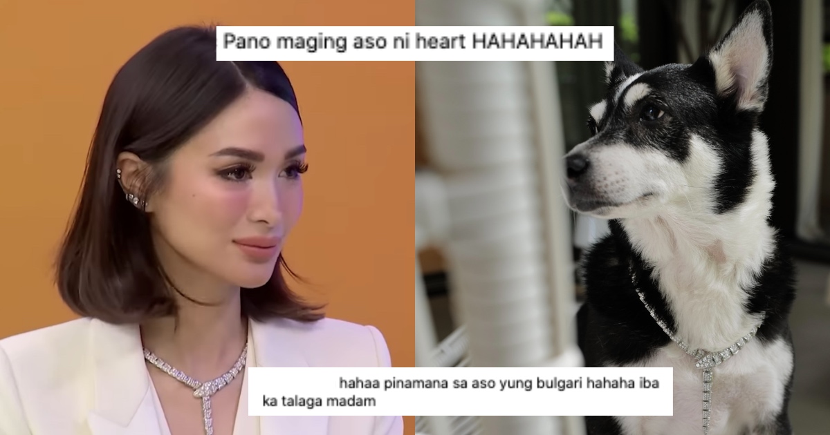 TRENDING: Heart Evangelista lets her dog wear P10 million Bulgari ...