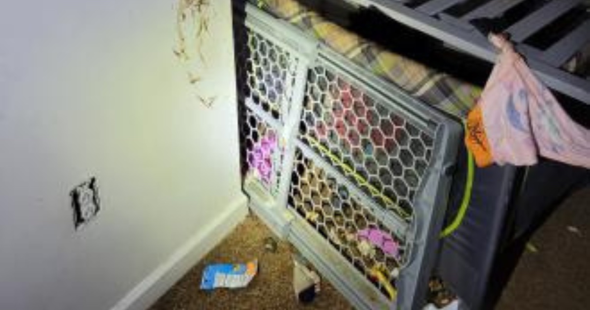 Mother arrested after keeping toddler in 'makeshift cage' • PhilSTAR Life