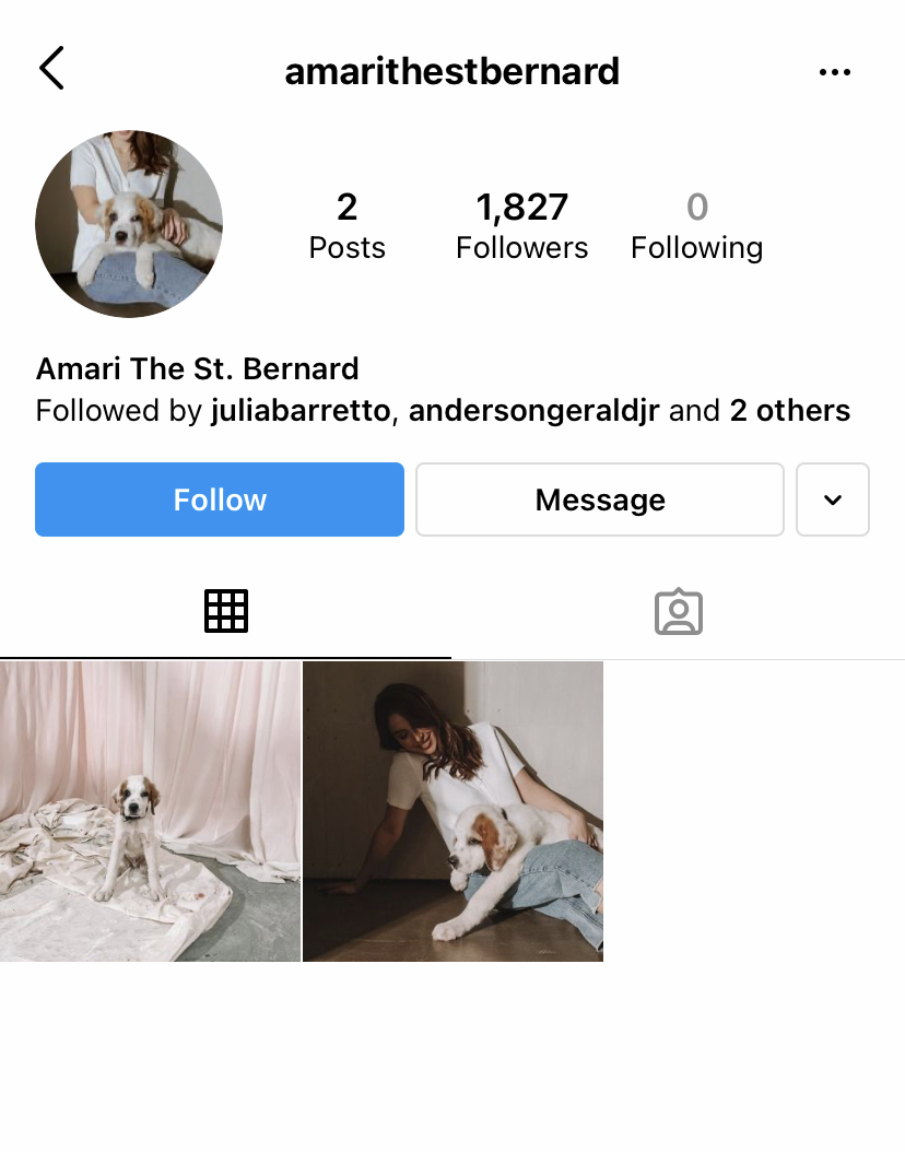 Are Julia Barretto and Gerald Anderson pet parents to this dog ...