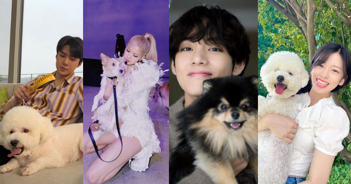 It’s International Dog Day! Here are 7 K-pop stars who have the cutest ...