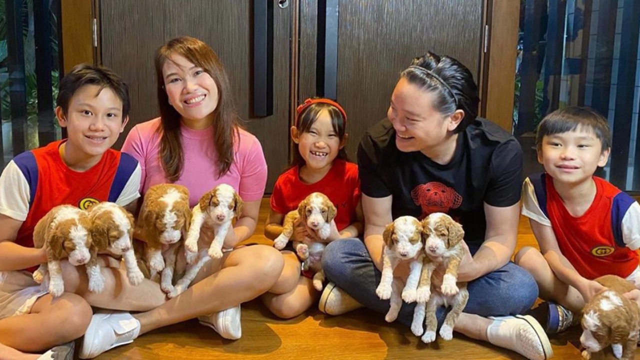 It's a beautiful life with dogs! • PhilSTAR Life