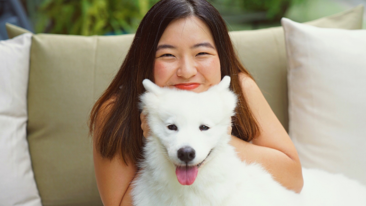 The perfect pawsite for hooman parents • PhilSTAR Life