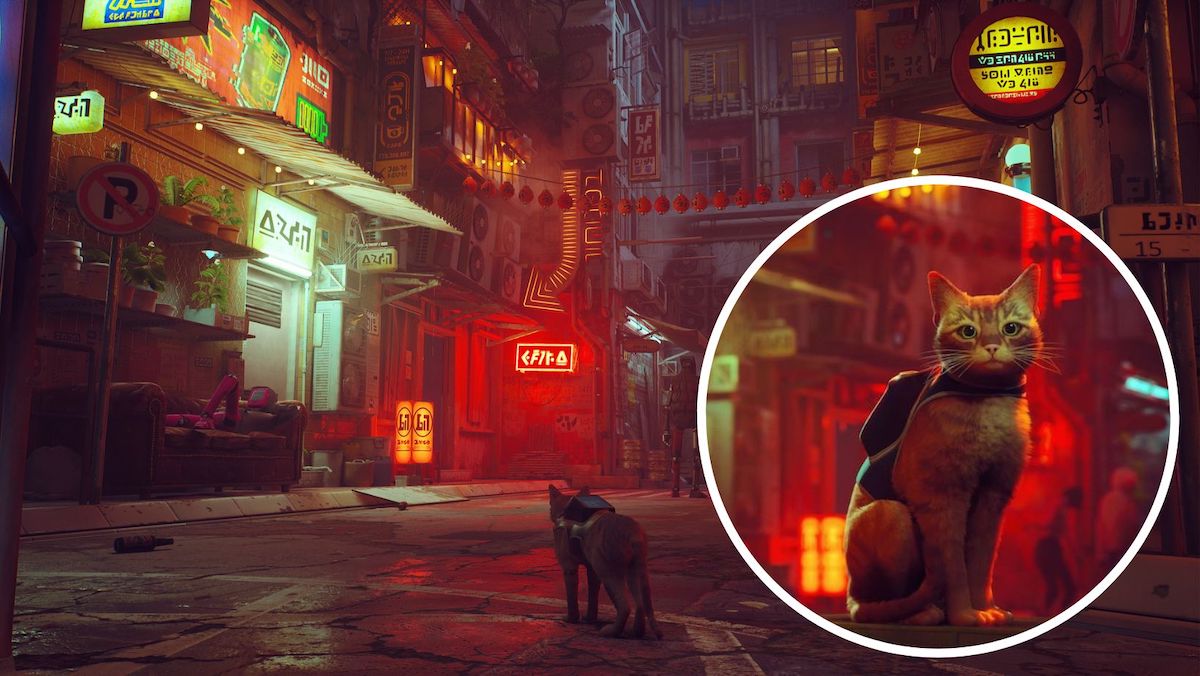 REVIEW: Video game where you play a Stray cat is almost purr-fect ...