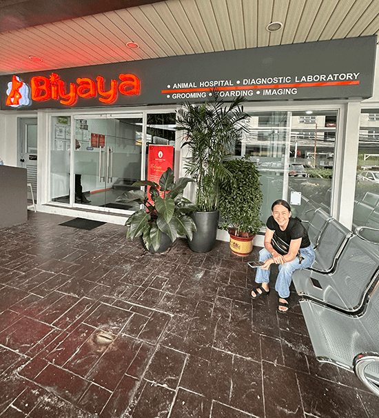 Biyaya: A blessing for furbabies & Fifty Shades of ’Kapon’ • PhilSTAR Life