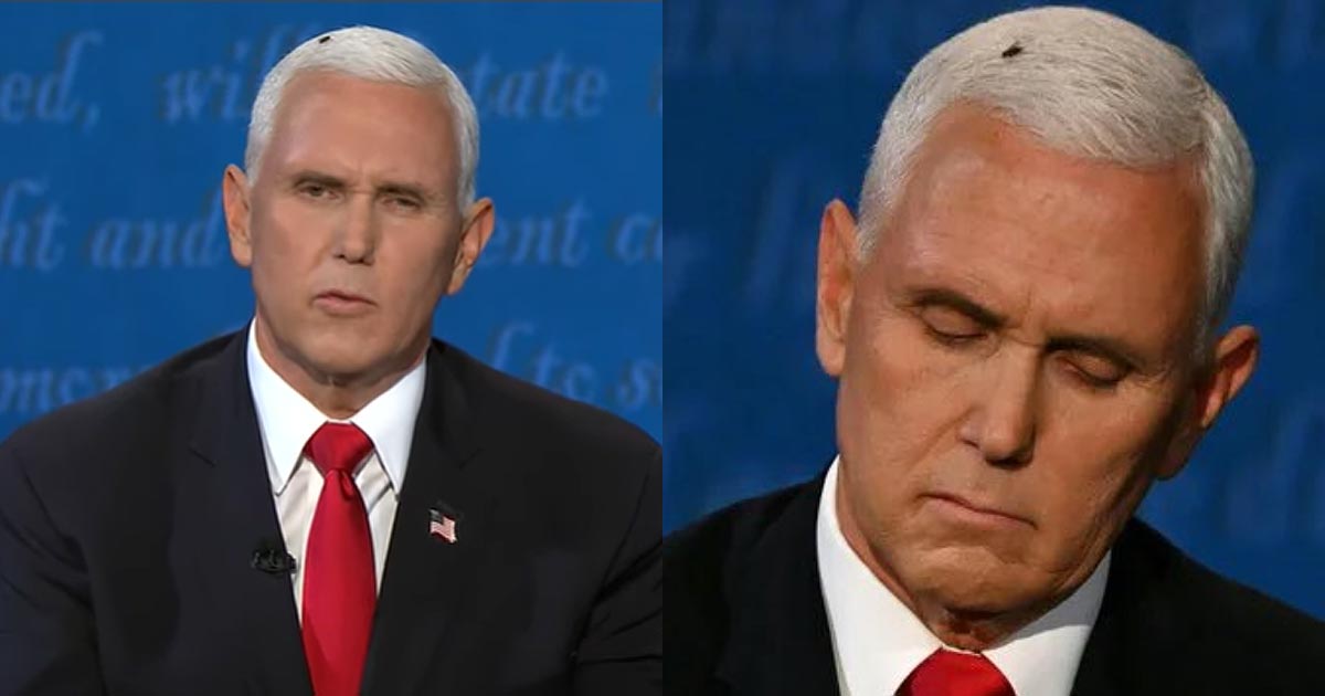 Fly atop Mike Pence's head causes buzz after VP debate • PhilSTAR Life