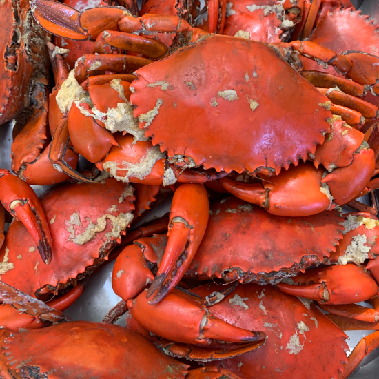 Breathtaking sunsets, sumptuous meals, sublime sceneries: In this El ...