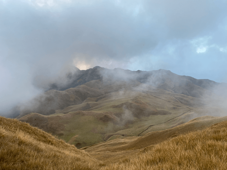 A beginner's guide to conquering Mt. Pulag • PhilSTAR Life