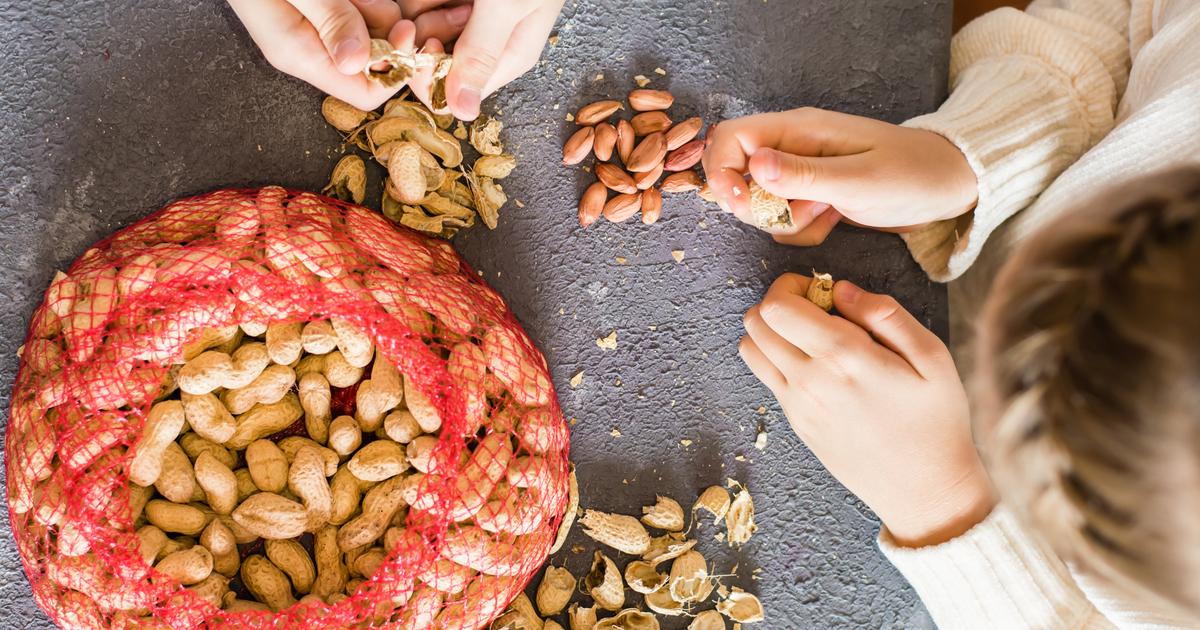 Adding peanuts to young children's diet can help avoid allergy: study ...