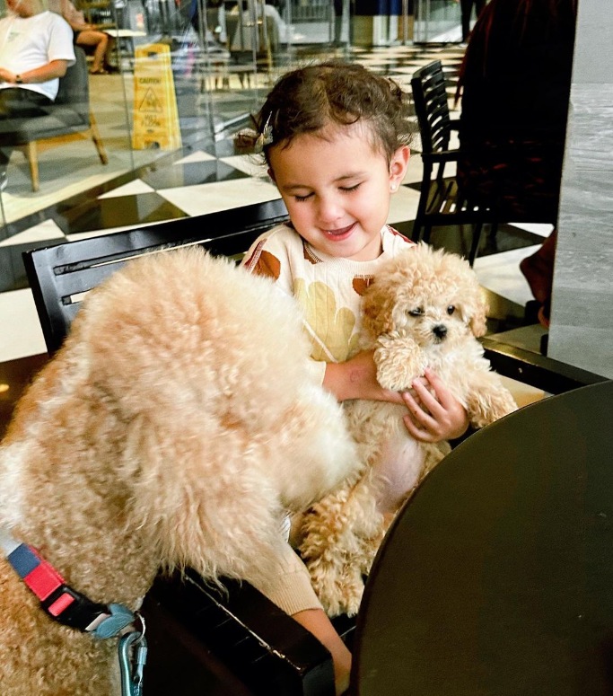 Celebrity Poodle 60 Photos - Moonagedaydream.film