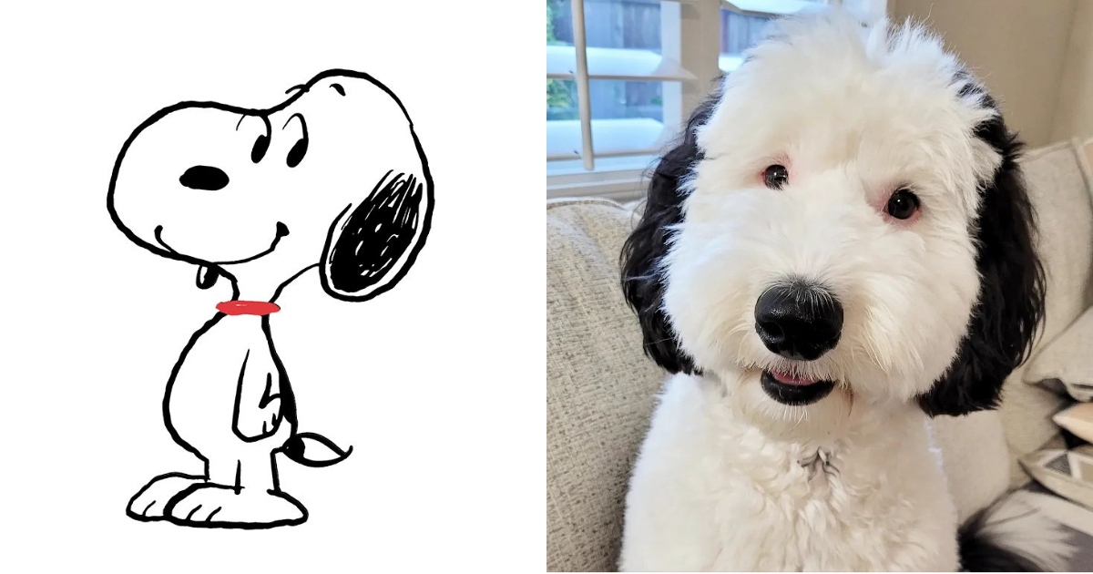 Real-life Snoopy dog catches the internet's attention • PhilSTAR Life
