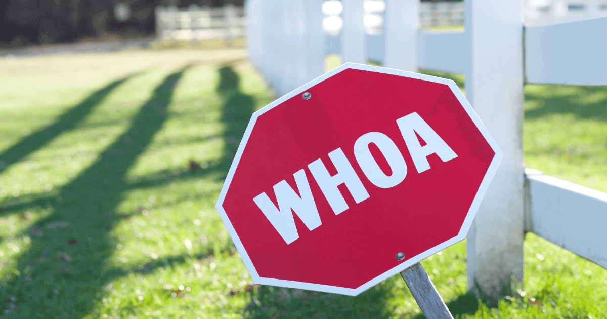 Whoa or woah? Dictionary.com makes 'major' announcement on correct ...