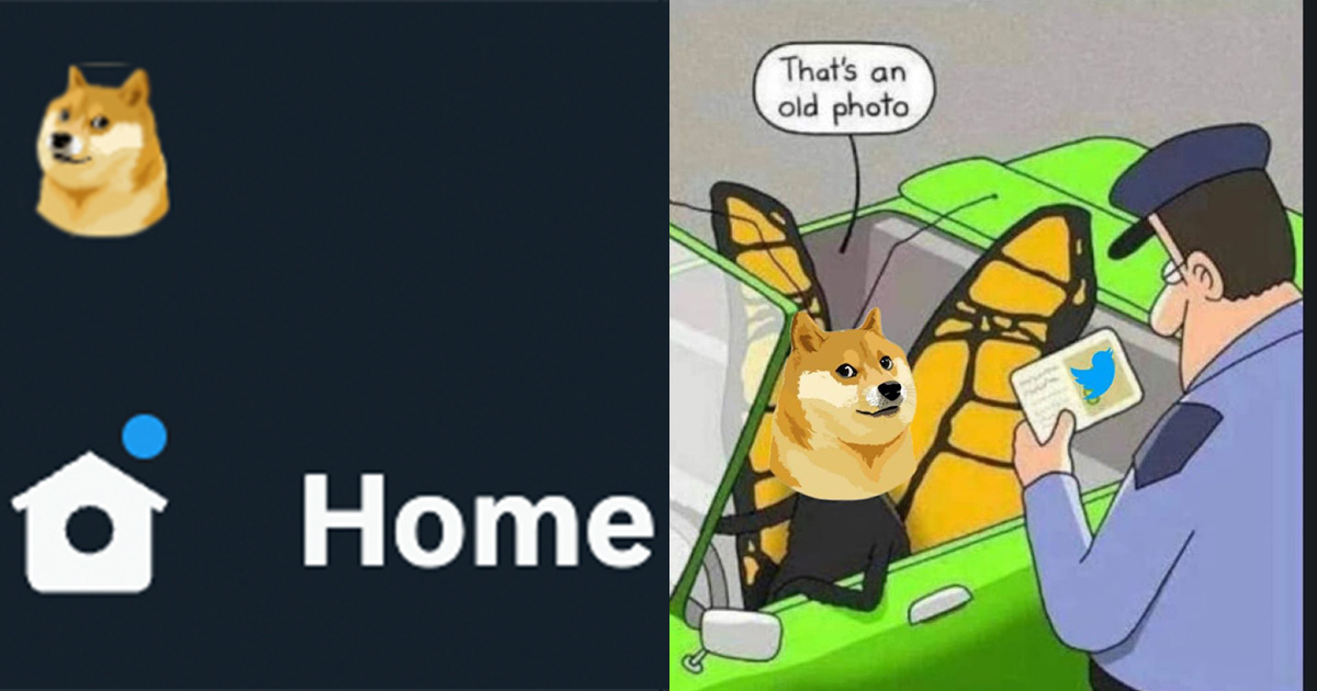 TRENDING: Why did the doge meme replace the Twitter bird past April ...