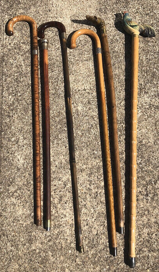 Yes, you cane! • PhilSTAR Life