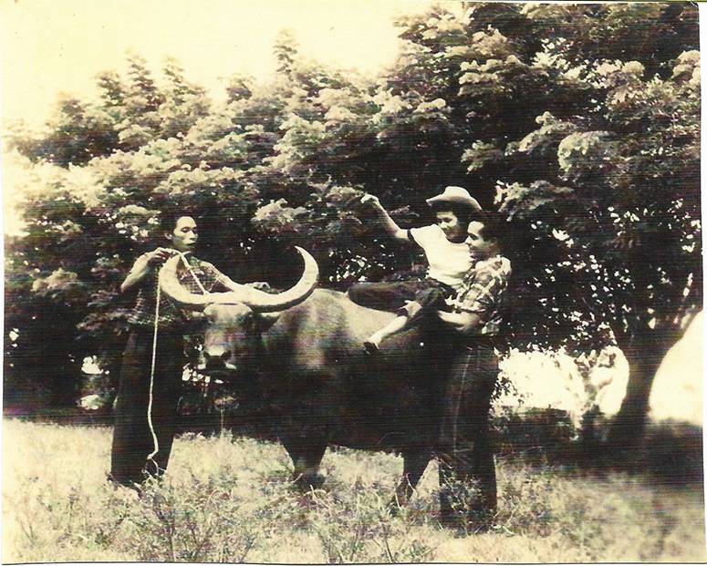 Our heroic DNA: Botong, Bayani and Bayanihan • PhilSTAR Life