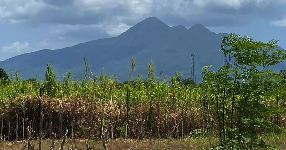 Ces Drilon and Ricky Carandang’s dream (organic farm) come true ...