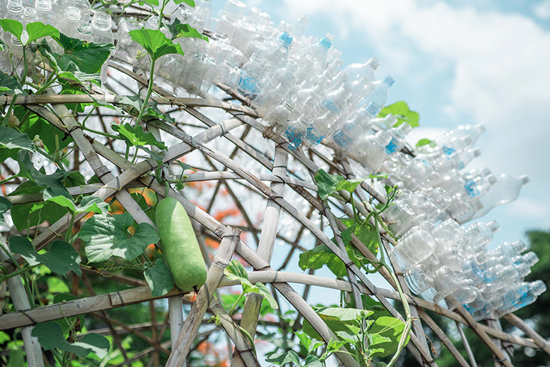 ‘Mebuyan’s Colony’ by Leeroy New: Where all things and beings connect ...