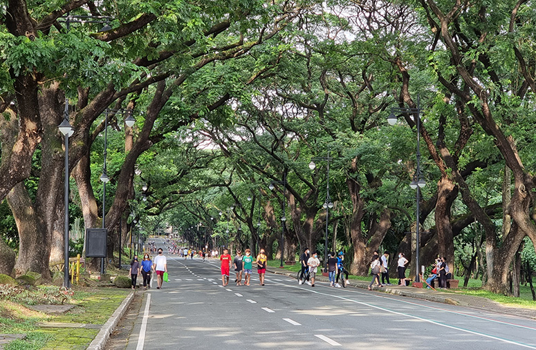 A weekend walk in Diliman • PhilSTAR Life
