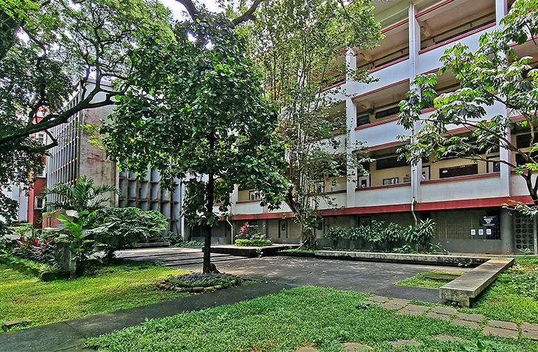 A green and maroon walk • PhilSTAR Life