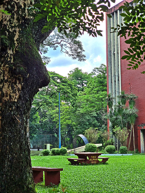 A green and maroon walk • PhilSTAR Life