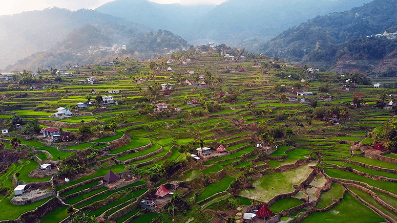 How do you preserve a legacy like the Ifugao Rice Terraces? • PhilSTAR Life