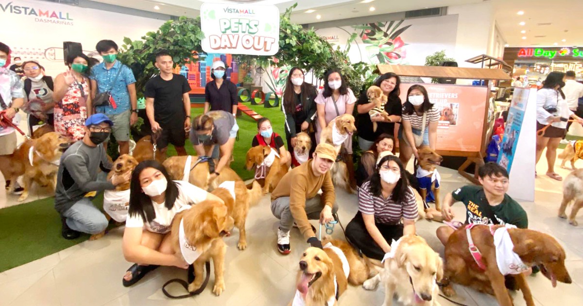 Vista Mall gathers the Golden Gang: Golden Retrievers meetup • PhilSTAR ...