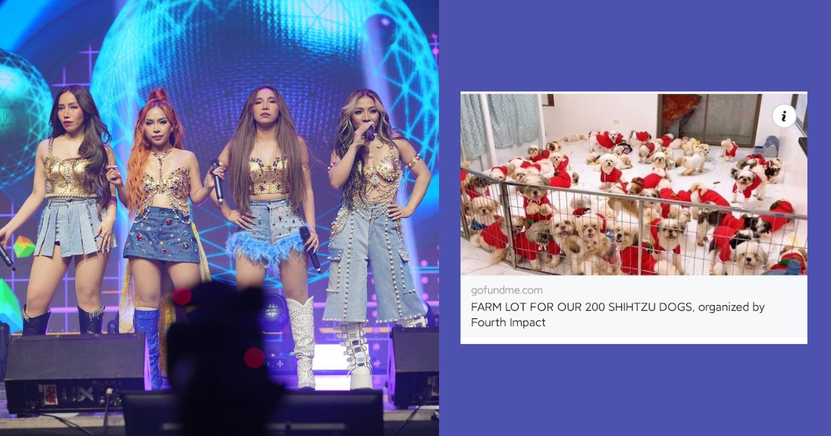 4th Impact draws flak over fundraising for 'dreamland' of 200 dogs ...