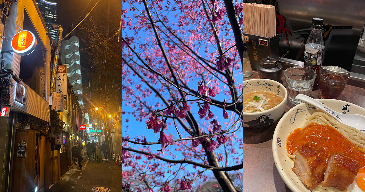 GUIDE: Hidden gems and must-see spots in Tokyo where you can enjoy ...