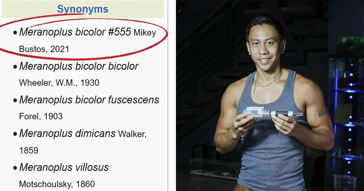 Mikey Bustos discovers new ant species in backyard, gets credited for ...