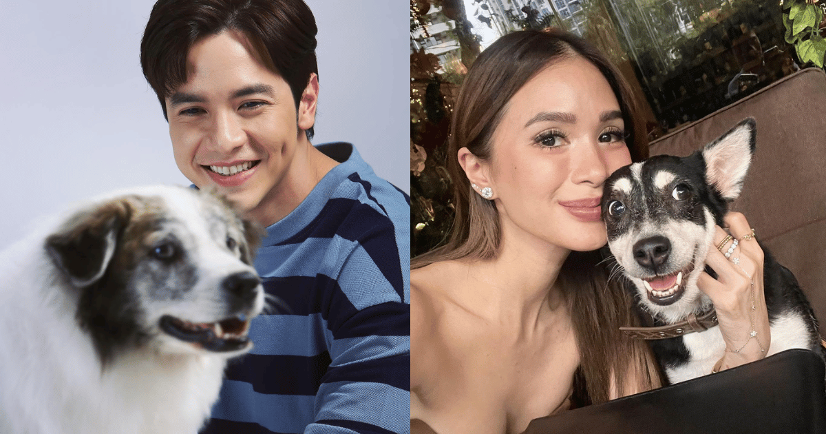 Celebs and their Aspins: Alden Richards, Heart Evangelista, and other ...