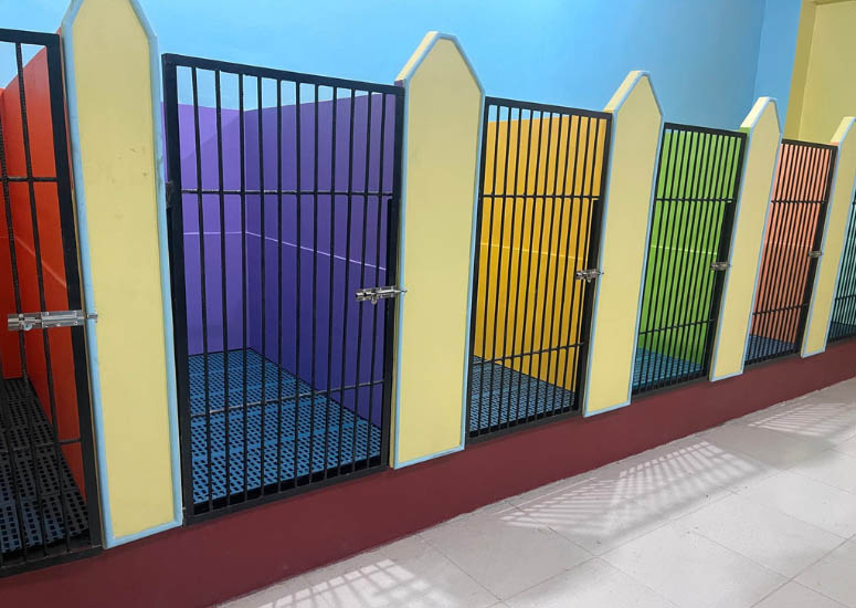 LIST: Pet hotels and boarding houses to consider for your fur babies ...