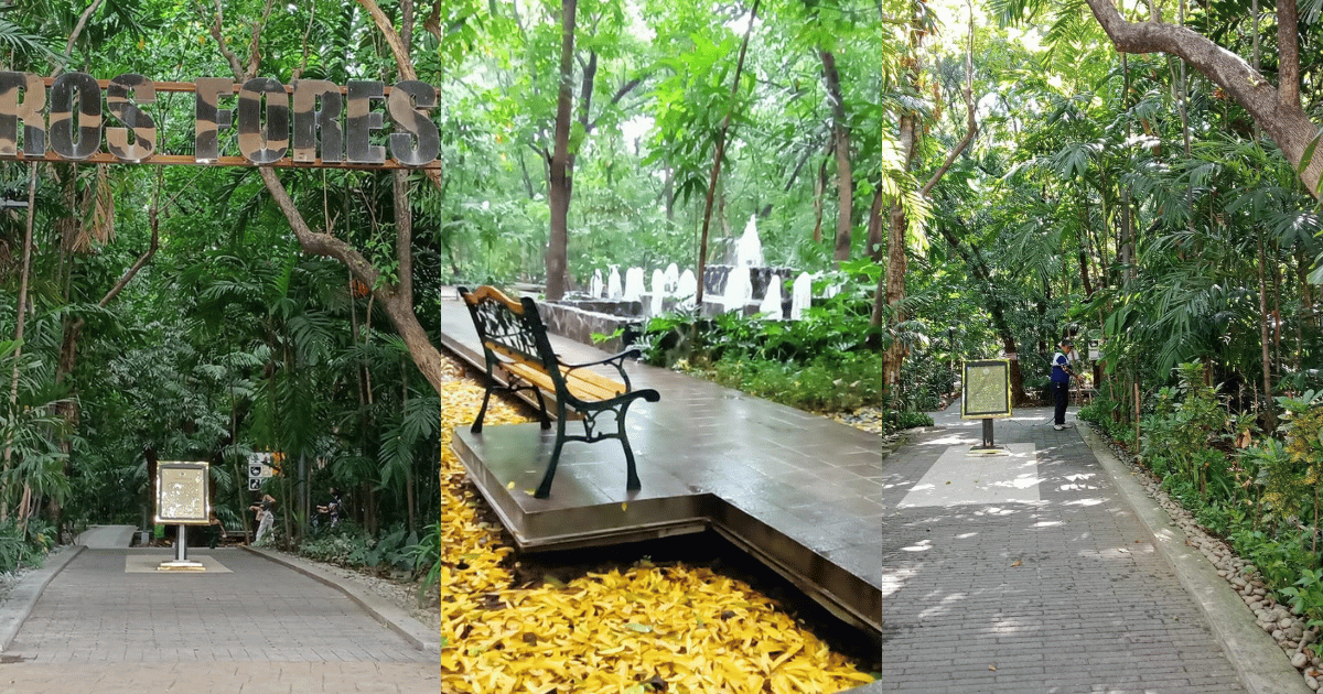 Arroceros Forest Park records 5 degrees cooler temperature than Manila ...