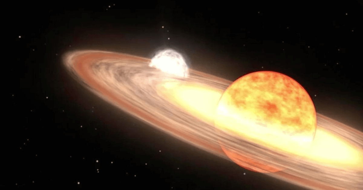 'New' star expected to appear from rare explosive event—here's what you ...