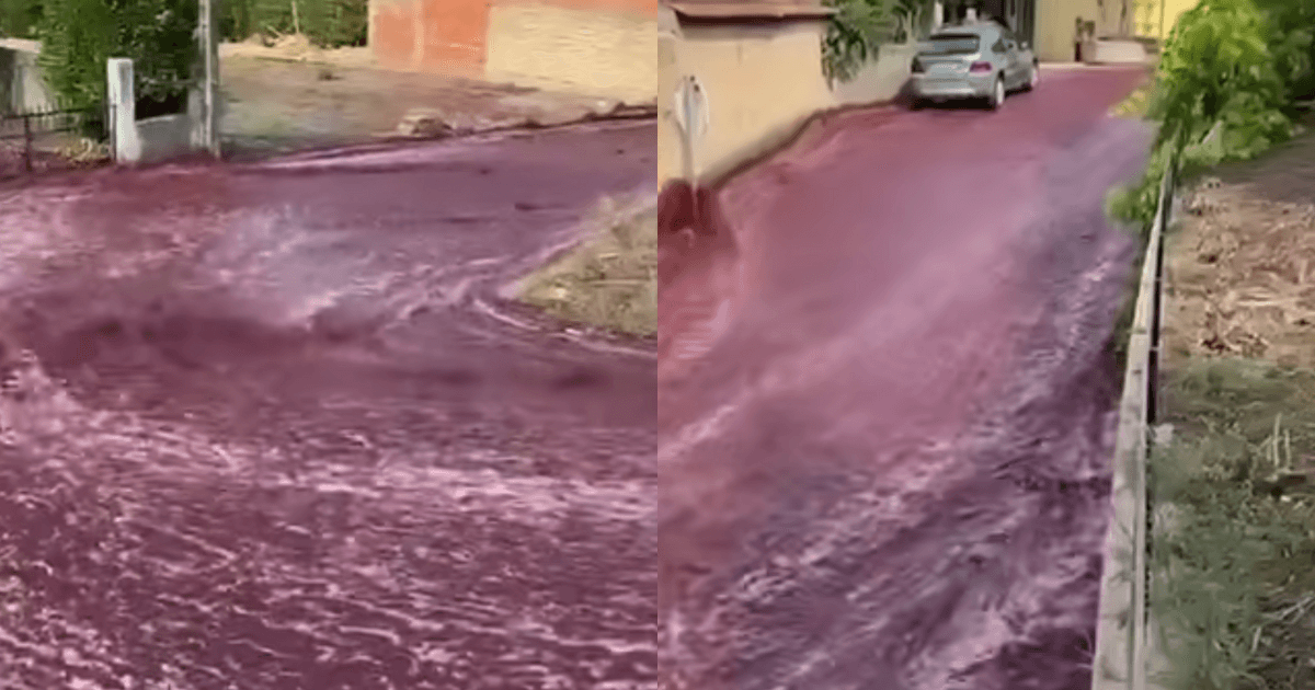 Over 2 million liters of red wine floods Portugal town after distillery ...