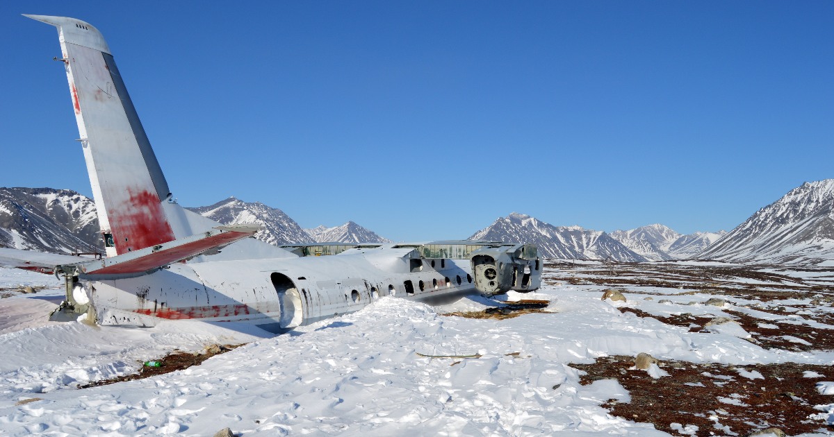 Plane crash survivor looks back on decision to eat bodies of deceased ...