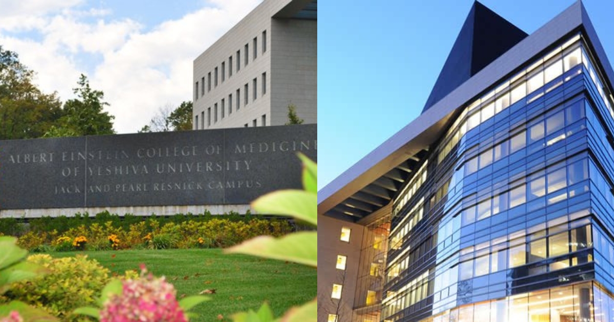 NY medical school offers free tuition for all future med students ...
