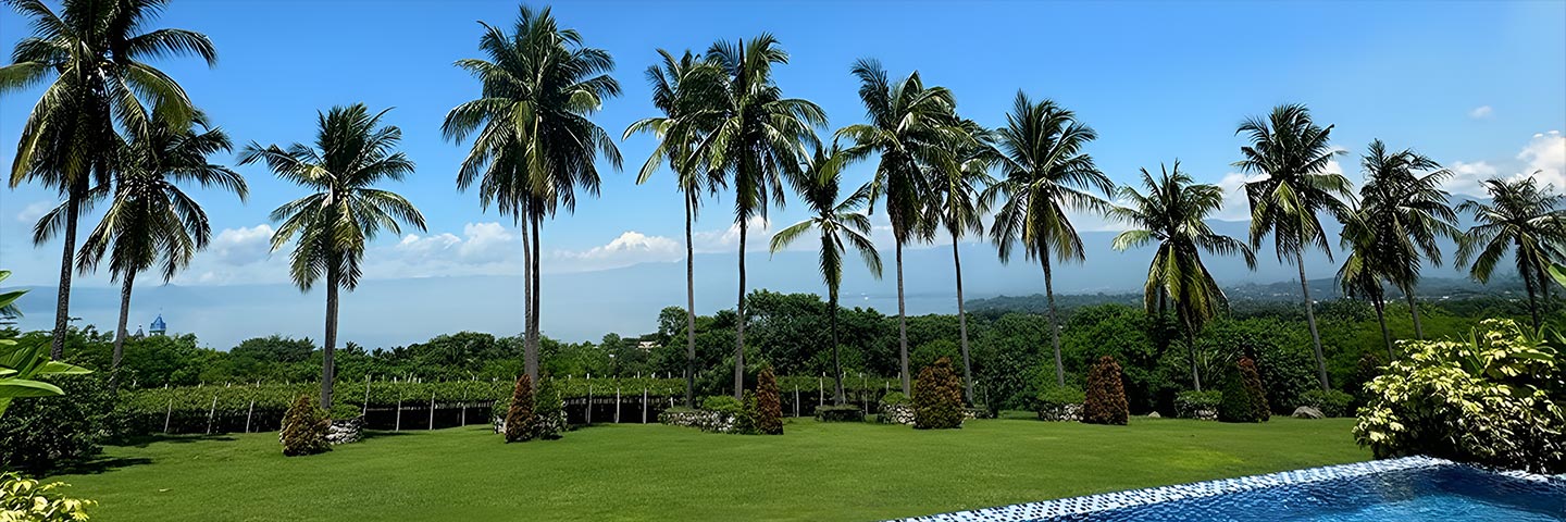 The Vineyard at Tanauan • l!fe • The Philippine Star