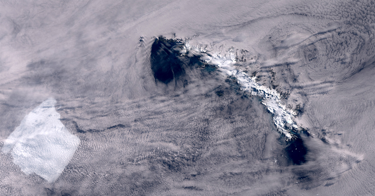 World's biggest iceberg runs aground, sparing wildlife haven island ...