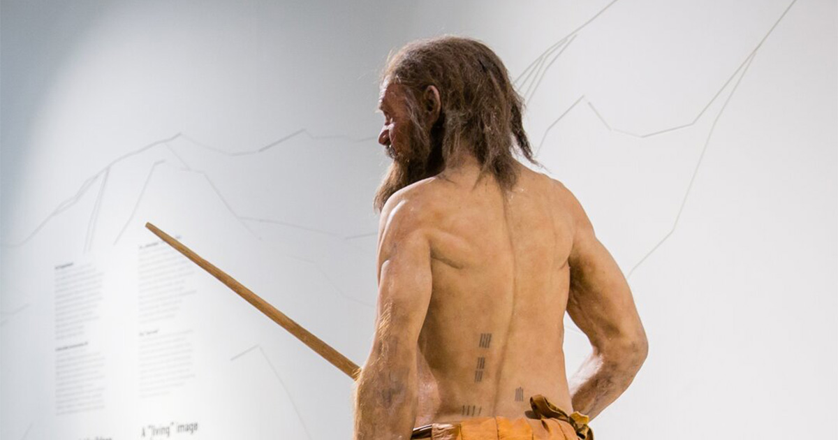 Scientists find yeast in ancient Iceman's guts—and make bread ...