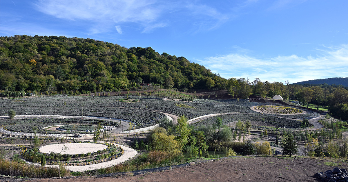 Van Gogh's 'Starry Night' inspires Bosnian park • PhilSTAR Life