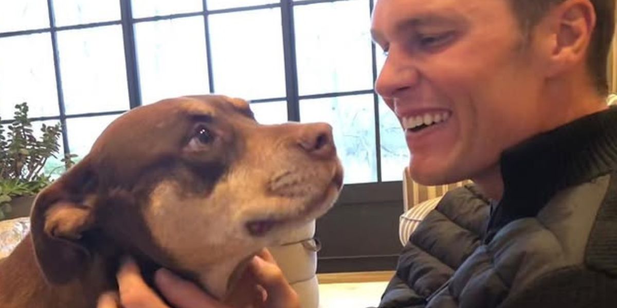 Tom Brady says dog Junie is a clone of his late pet Lua • PhilSTAR Life