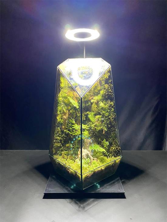Terrariums breed young eco warriors • PhilSTAR Life